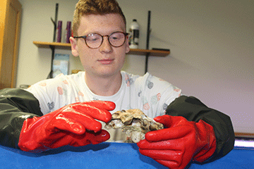 Student researches how microplastic pollution impacts oysters - SUNY ...