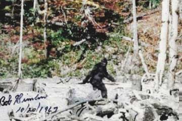 Psychology class considers pseudoscience - SUNY Cortland