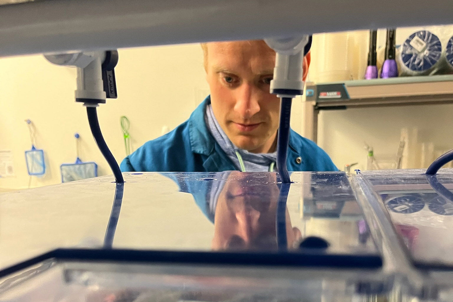 Biology alum leads groundbreaking research on limb regrowth - SUNY Cortland