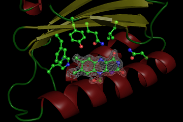 Chemistry by computer - SUNY Cortland