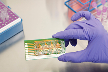 Twelve students conducting sponsored research this summer - SUNY Cortland